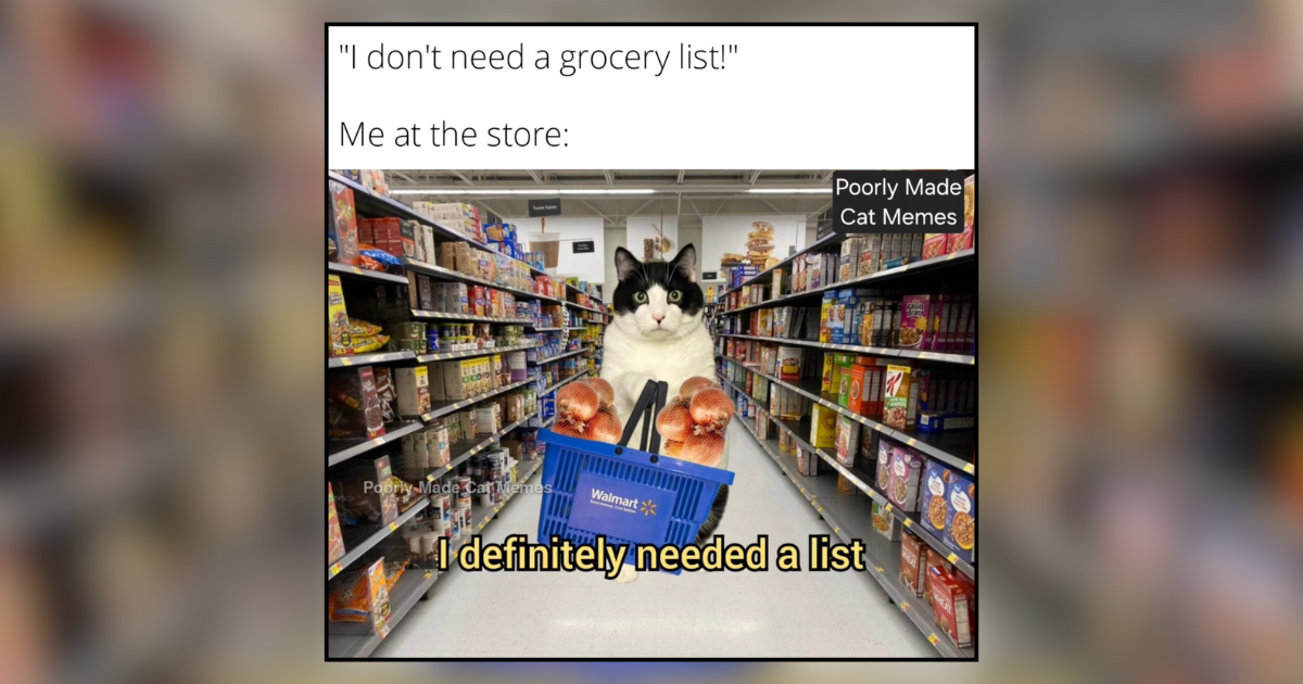 23 Cattastic Memes of Cats Filling Shopping Carts and Emptying Wallets ...