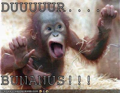 Derp - monkey - Derp Face Derps - hurr durr derp face - derp - Cheezburger