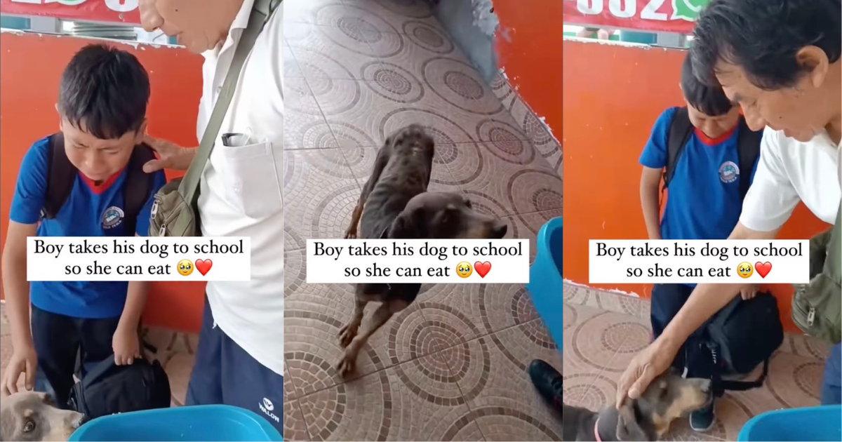 Young boy Lopez surprises everyone and brings his hungry dog 'Pequeña' to school so she can get ...