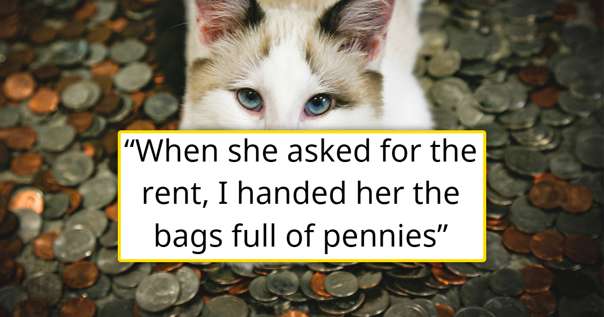 Landlord demands tenant move out for not disclosing he had a cat when ...