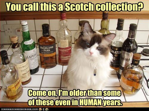 Memes Scotch Whisky Memes