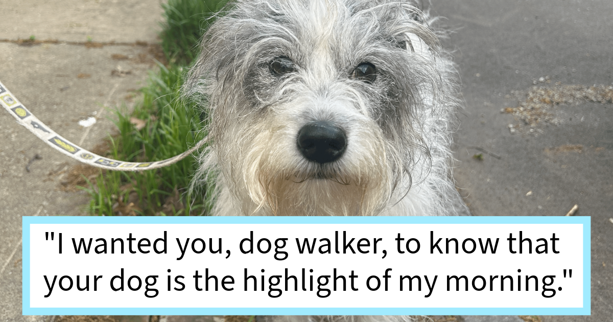 ‘Your dog, whoever they are, is the highlight of someone's morning ...