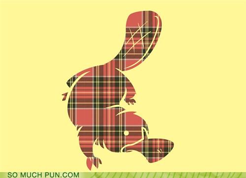 Puns - plaid - Funny Puns - Pun Pictures - Cheezburger