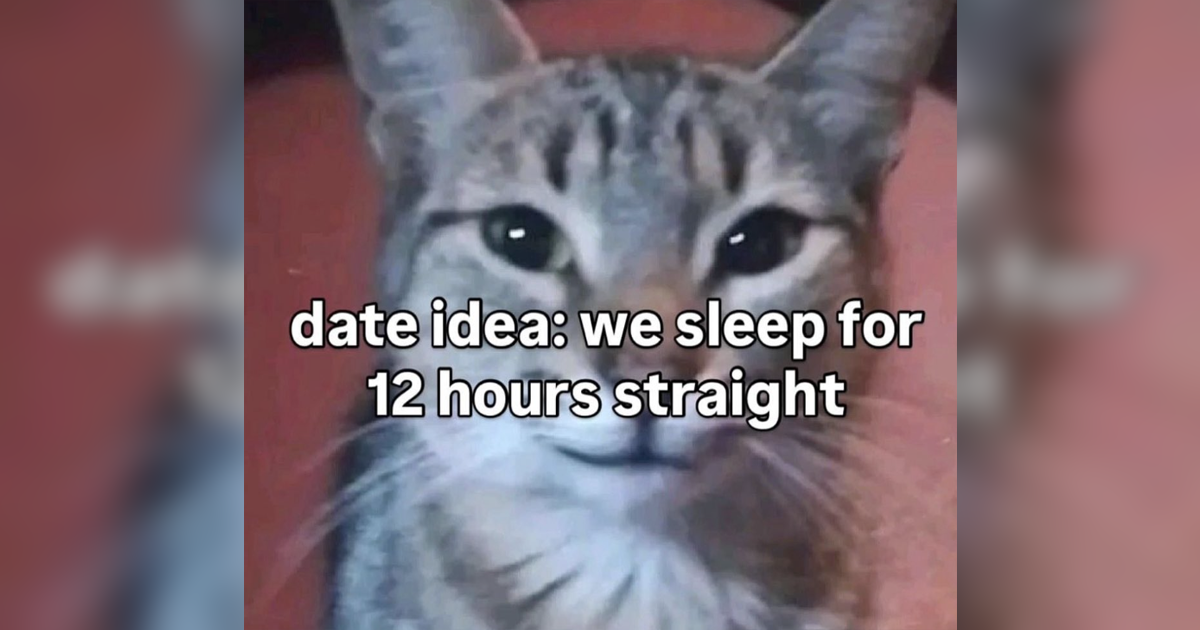 Funniest Cat Memes for Feline Fanatics (September 17, 2025) - Memebase ...
