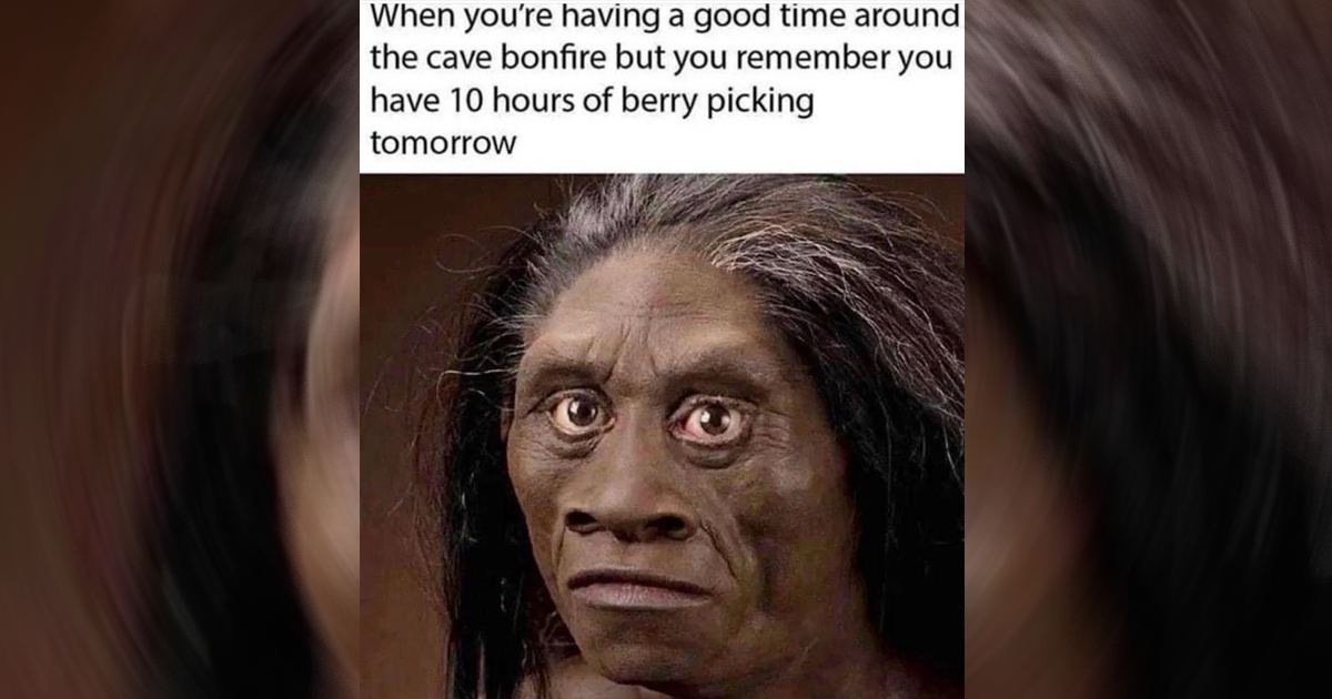 'The best kind of unexpected visitor': 30 memes and posts that are just ...