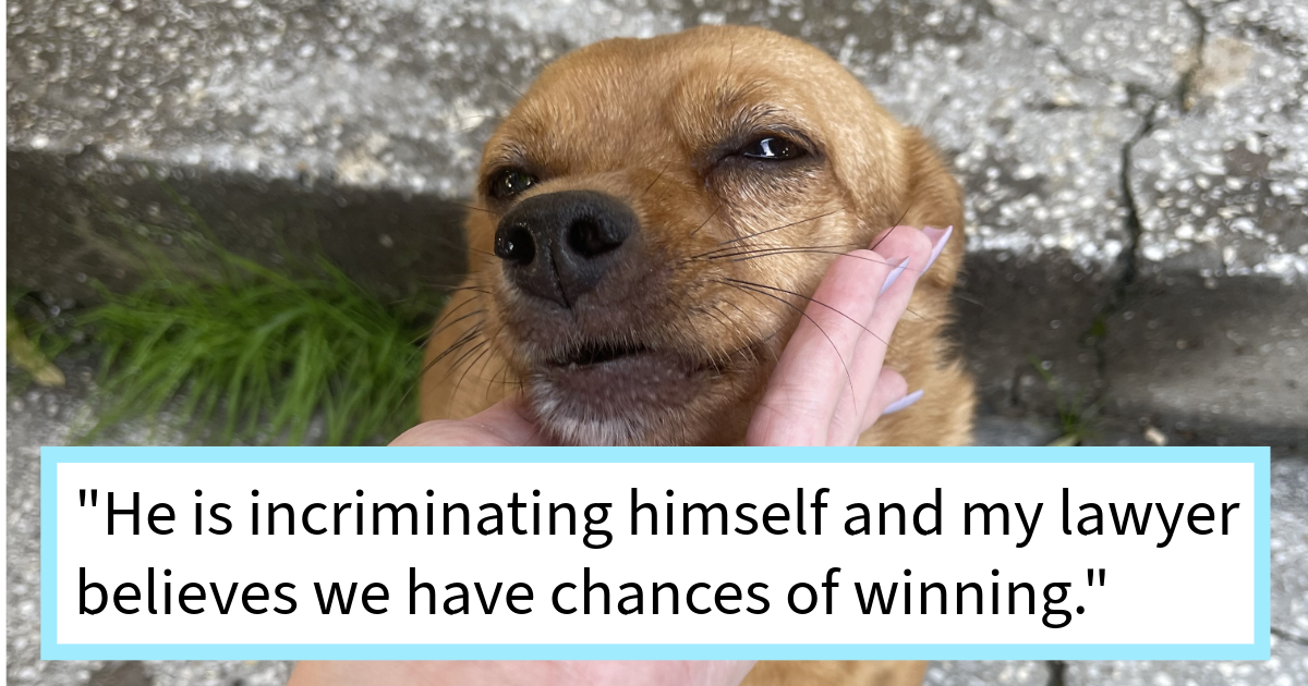 ‘Milo will be home later today and she has a very good chance of making ...