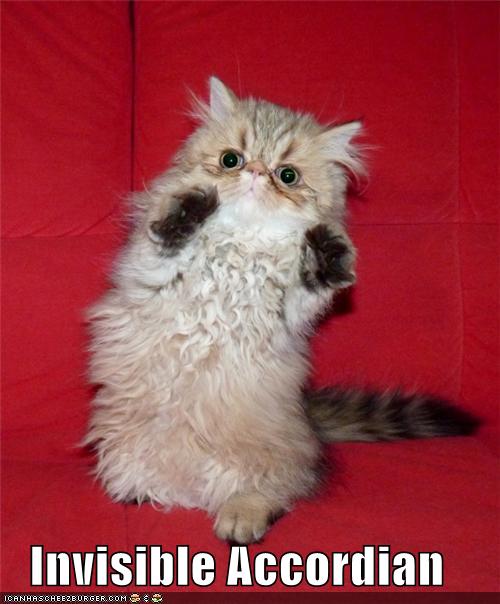 I Can Has Cheezburger?