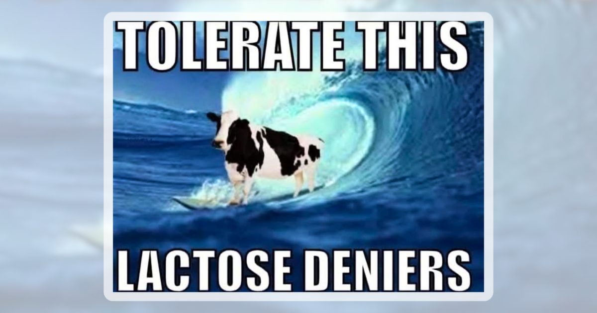20+ Moorvelous Cow Memes to Milk Every Last Drop of Laughter - Animal ...