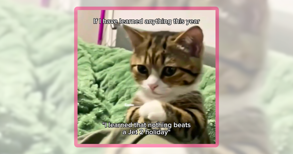 30+ Memes That Prove Cats Rule the Internet as Much as They Rule Our ...