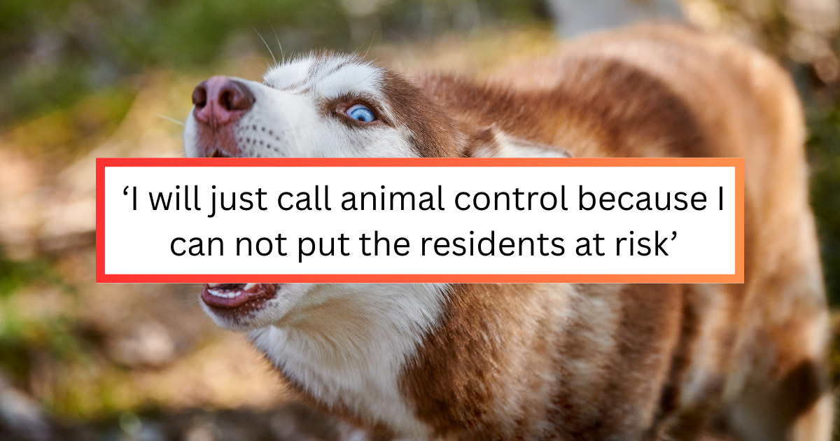 'Please just take [your] dog home': Neighbor threatens to call animal ...