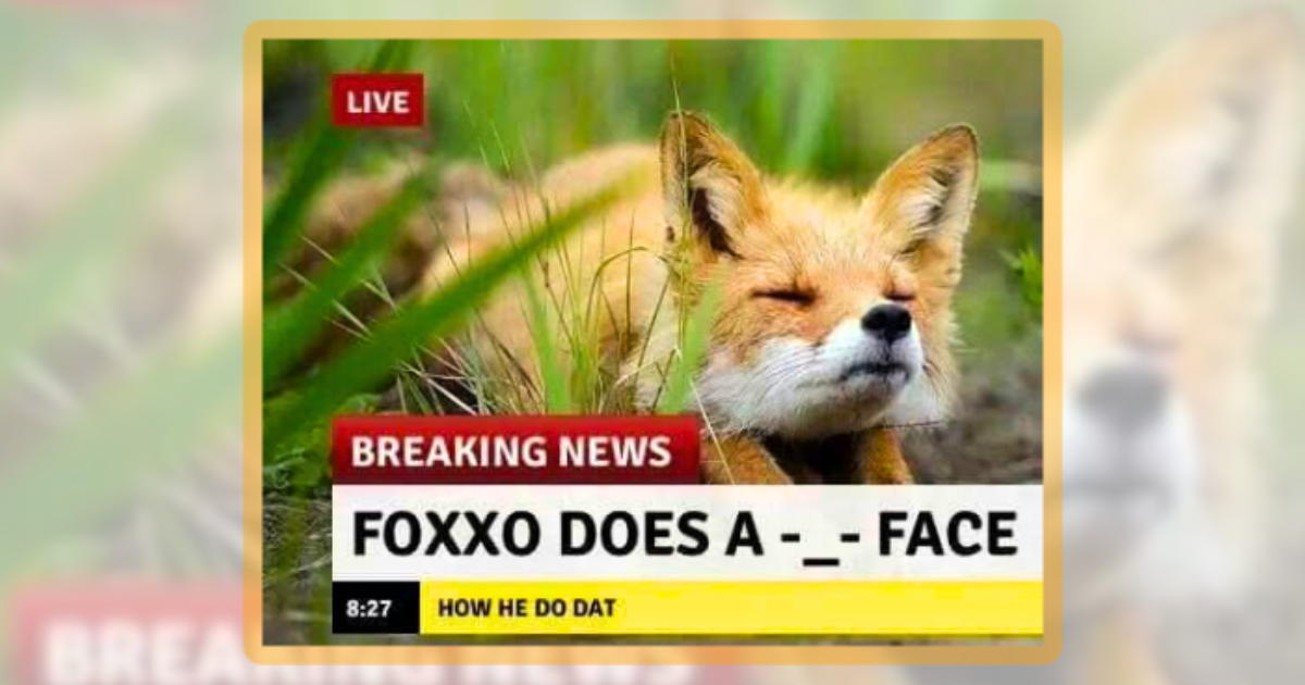 25 Wholesome Wildlife Memes for When Your Concrete Jungle Needs Feral ...