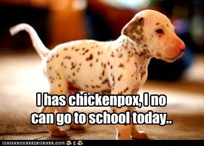 Funny Chicken Pox Memes