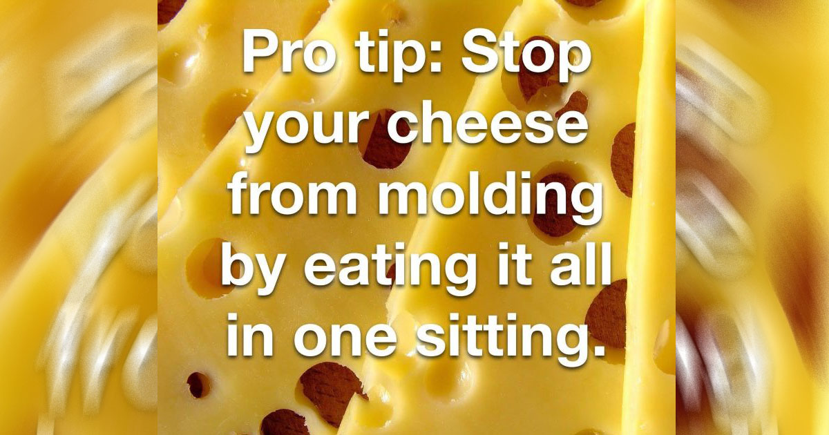 25+ Cheese Memes That Are Cheddar Than Most - Memebase - Funny Memes