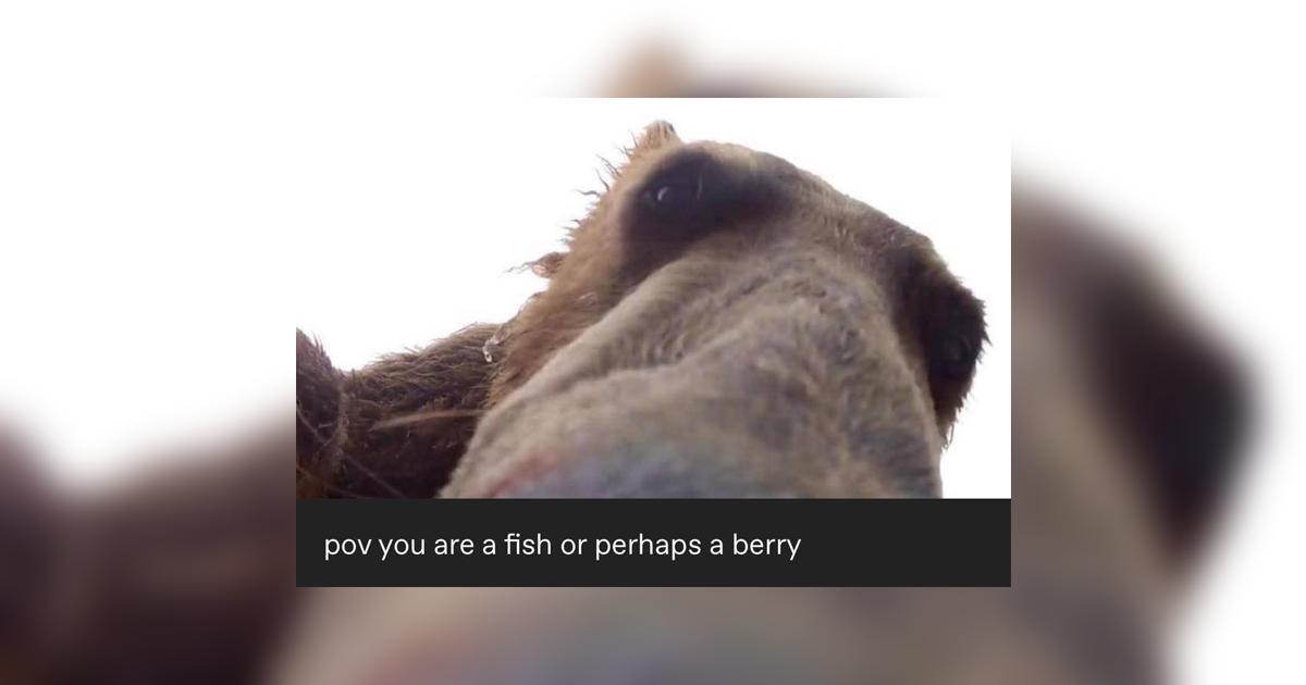 Memebase - dank memes - All Your Memes In Our Base - Funny Memes ...