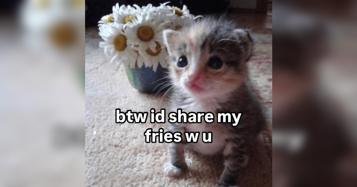 'Come frolick in the moss with me': A field of memes to frolick through ...