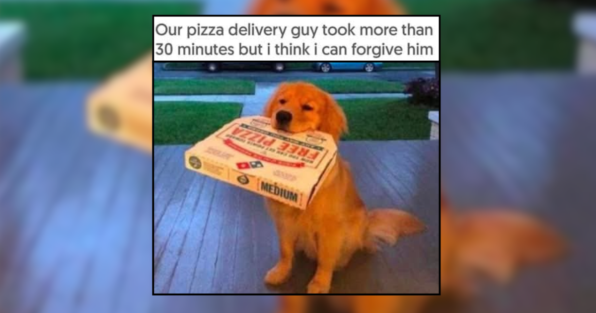 30 Good Morning Barks of Memes for Doggo Loving Owners Running on ...