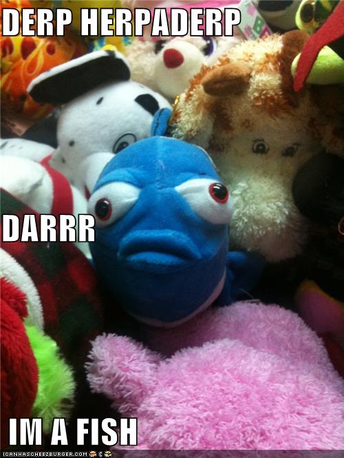 Derp Fish Memes