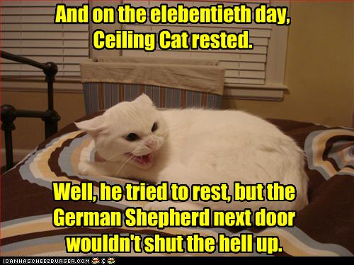 I Can Has Cheezburger? - ceiling cat - Page 7 - Funny Animals Online ...