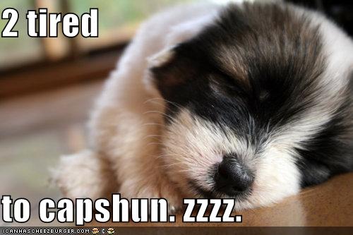 Tired Just Tired Puppy Meme
