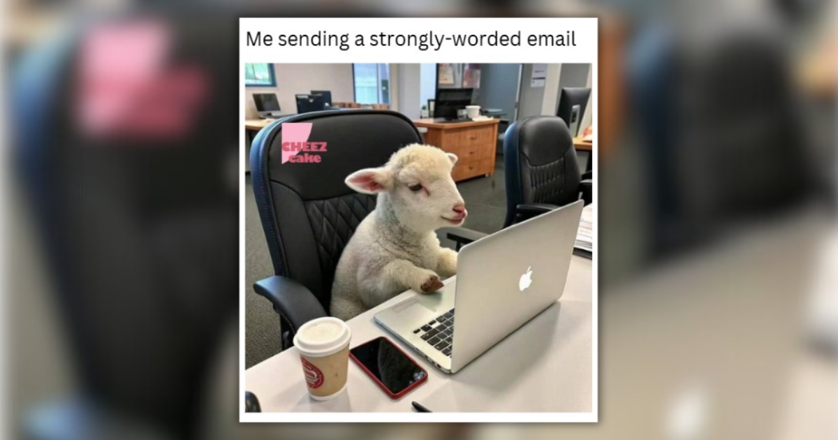 Funny Yet Awkward Work Memes Every Corporate Woman Can Relate To ...