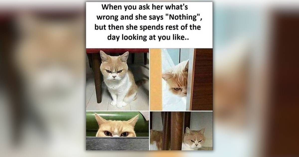 21 Relationship Memes for Couples Navigating Modern Challenges ...