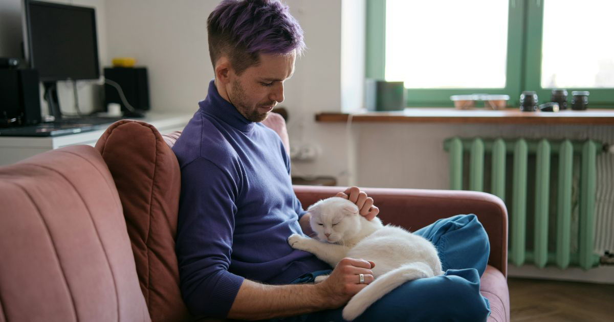 Memebase - cat sitter - All Your Memes In Our Base - Funny Memes ...