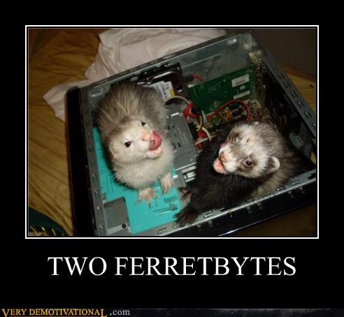 TWO FERRETBYTES - Very Demotivational - Demotivational Posters | Very ...