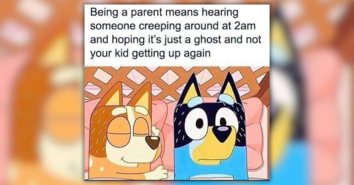 Hilarious Bluey Memes to Lighten Every Parent's Day - Geek Universe ...