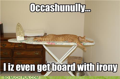 Puns - bored - Funny Puns - Pun Pictures - Cheezburger