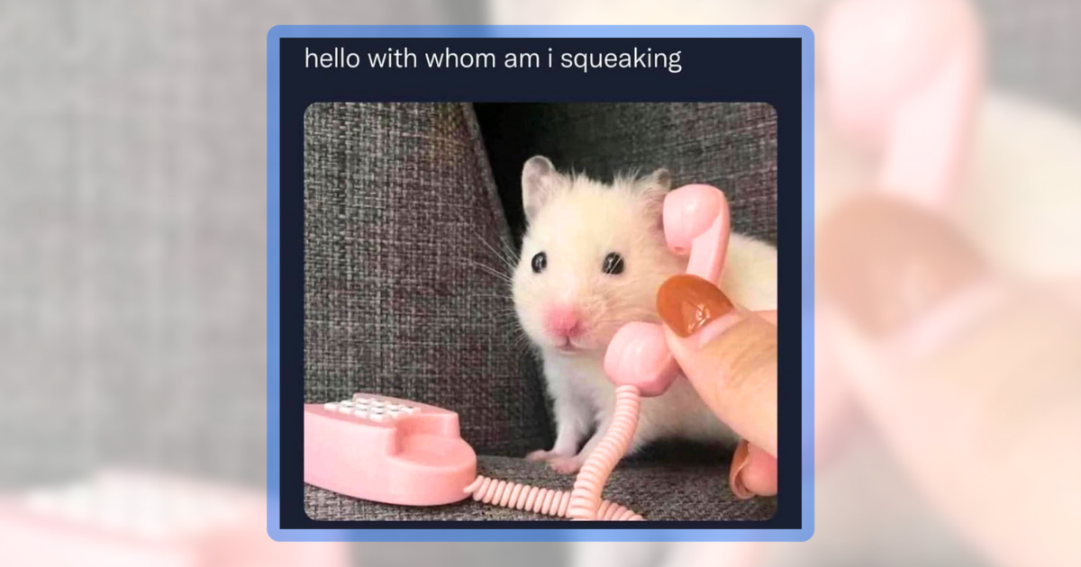 20 Itty Bitty Rodent Rascals to Bring a Cheek-Puff Smile to Your Face ...