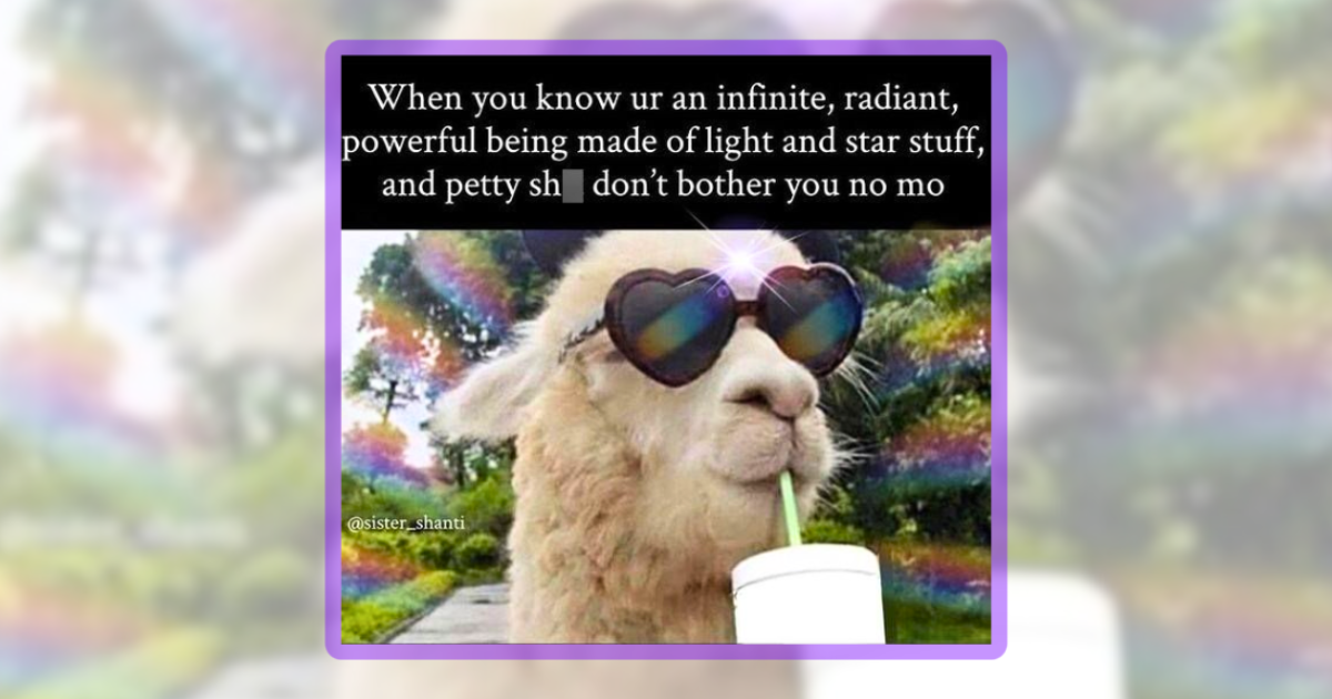 27 Chill Animal Memes for Your Relaxando Weekendo - Animal Comedy ...
