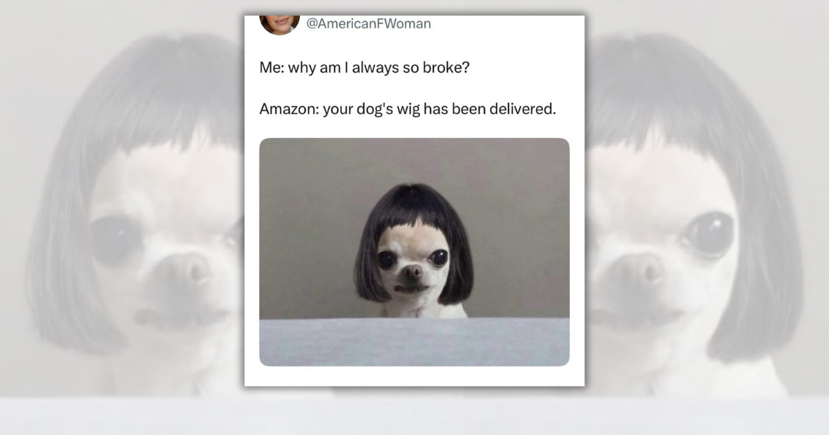 21 Funny Memes for Families Who Are Wholesomely Obsessed With Their ...