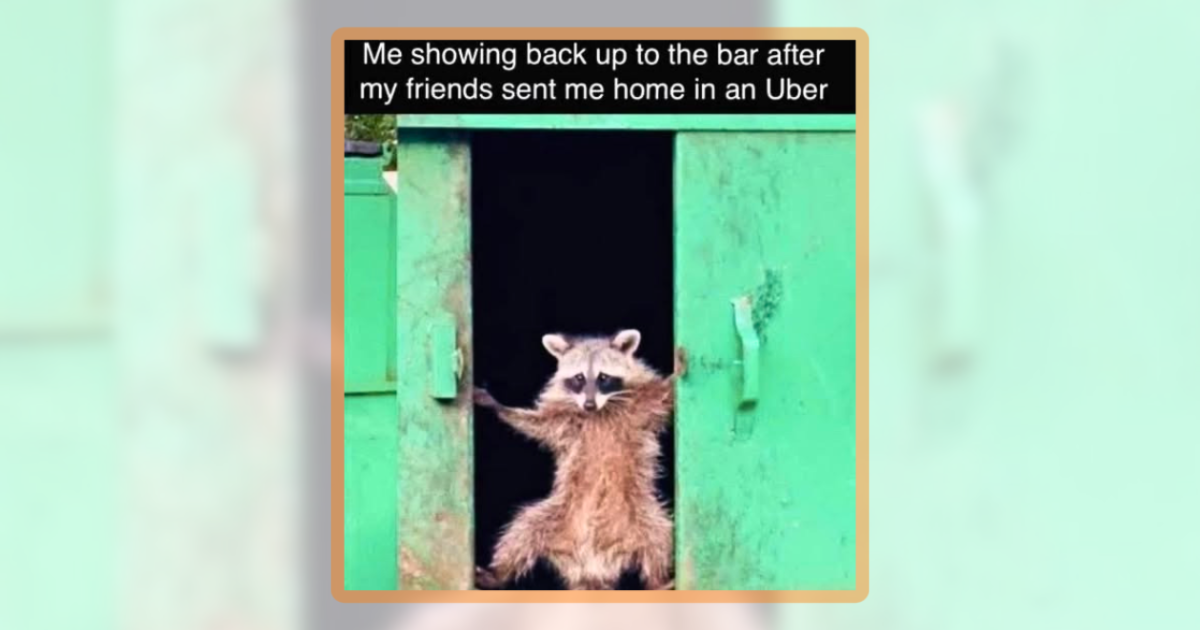 24 Wildlife Memes to Waken Your Inner Feral Animal Way Before the ...