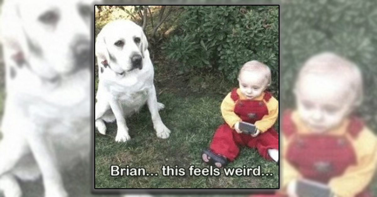 'All the things that make us laugh and cry!': Family Guy posts for the ...