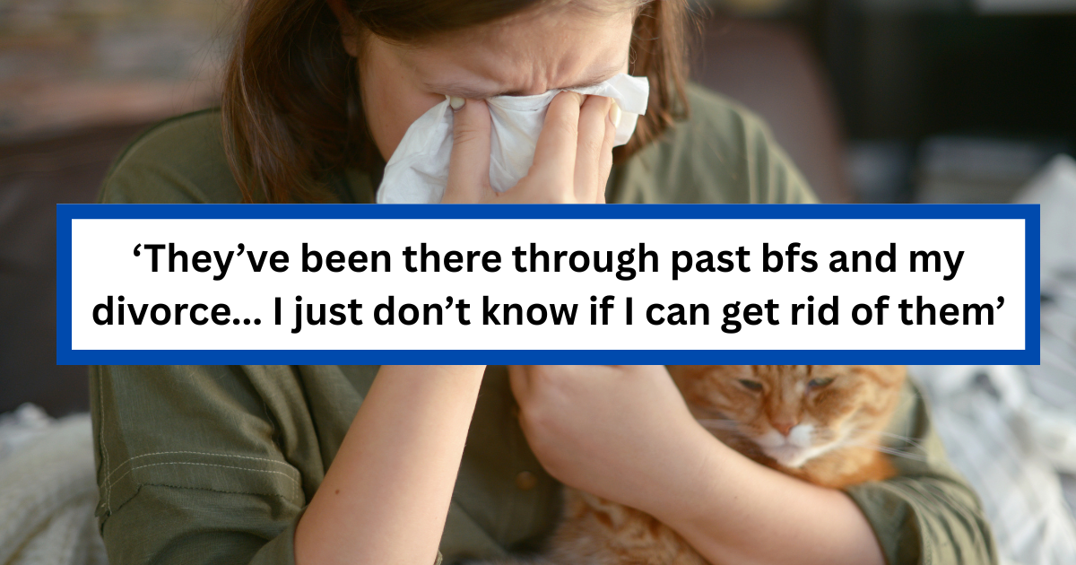 Woman almost rehomes her two cats for entitled boyfriend who won't ...