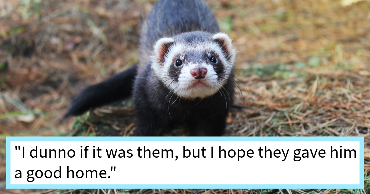 ‘We see him slip the ferret into their diaper bag and quickly leave the ...
