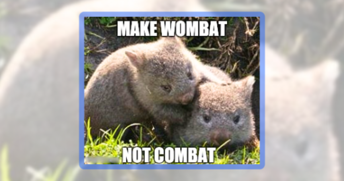 Animal Comedy - kangaroo - Animal Comedy - Animal Comedy, funny animals ...