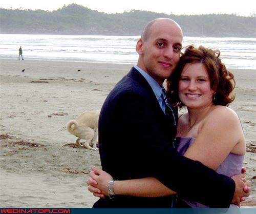 Wedinator - funny bride and groom picture - funny wedding photos ...