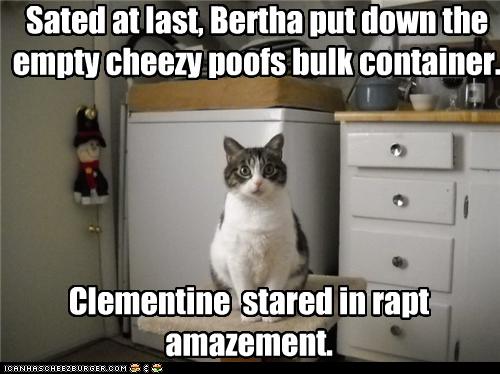 I Can Has Cheezburger? - gluttony - Funny Animals Online - Cheezburger