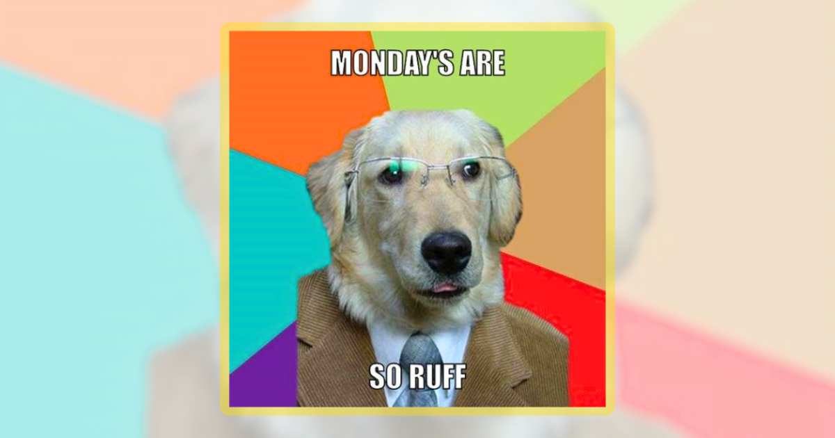 Morning Fluff of 20 Dedicated Doggo Employees to Fend Off Your Monday ...