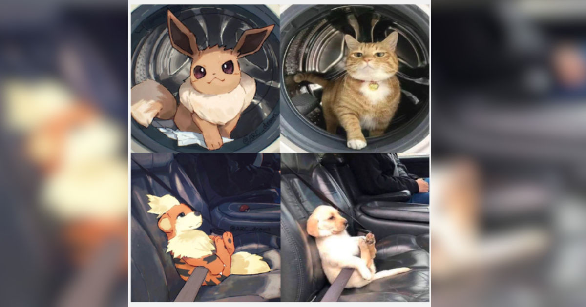 Pokémon Pets: What Life Would Look Like If You Adopted a Pocket Monster ...