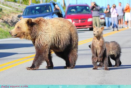 Daily Squee - Cute Animals - Cute Baby Animals - Cute Animal Pictures ...