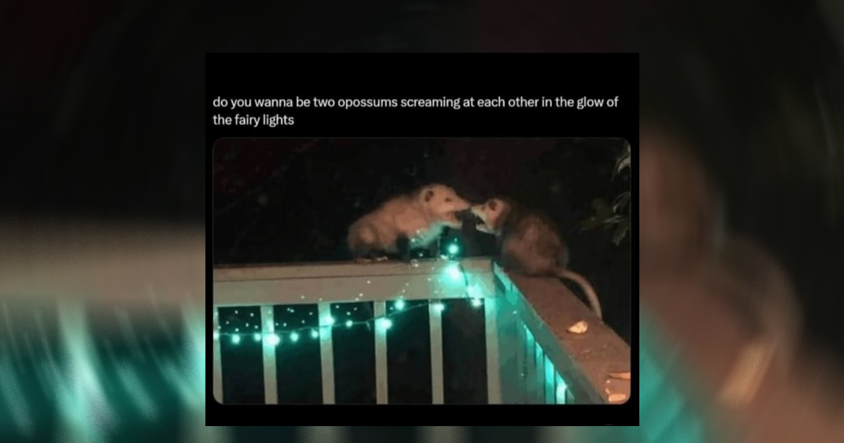 29 Memes on an Even Keel - Memebase - Funny Memes