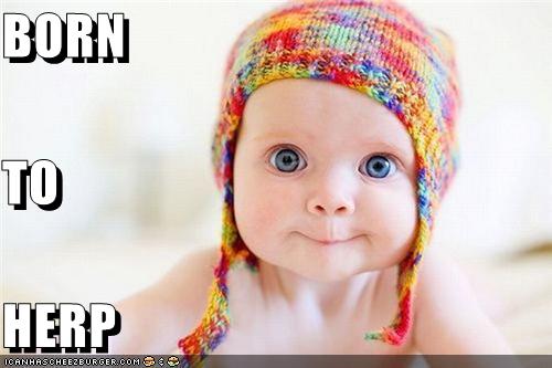 Derp - born - Derp Face Derps - hurr durr derp face - derp - Cheezburger