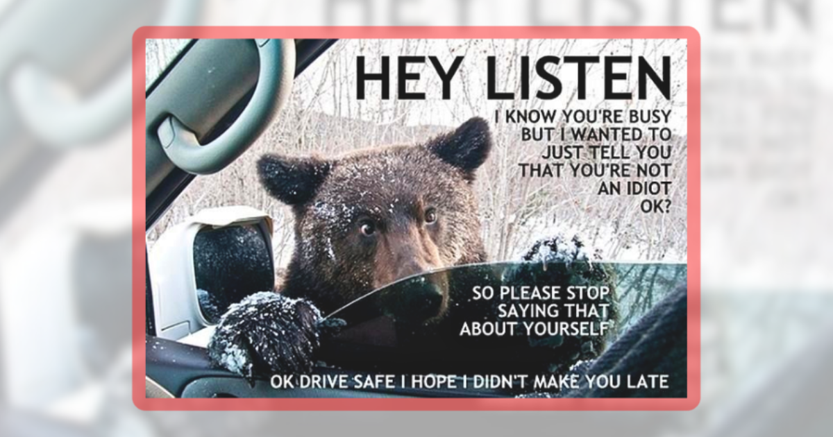 23 Burly Bear Memes to Fluff Up Your Friday With Friend-Shaped Energy ...