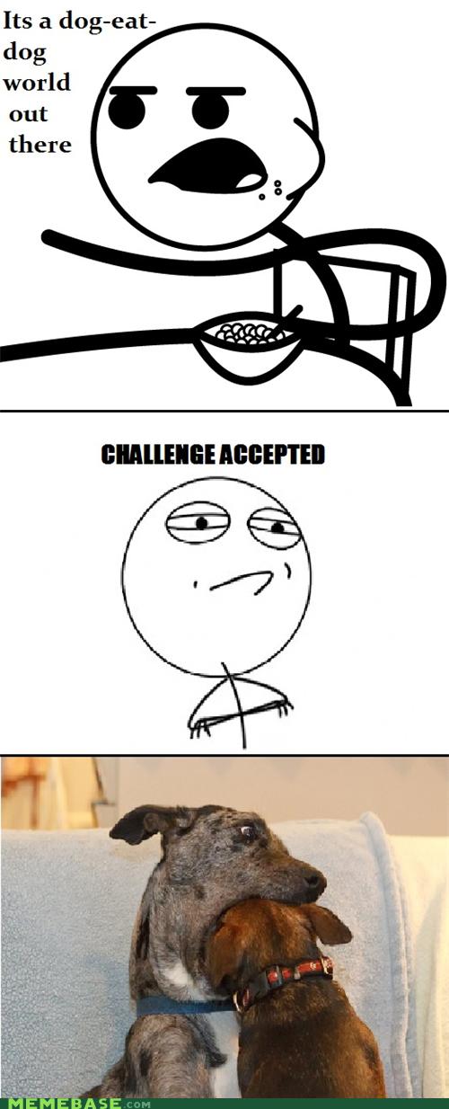 Dog Eat Dog - Memebase - Funny Memes