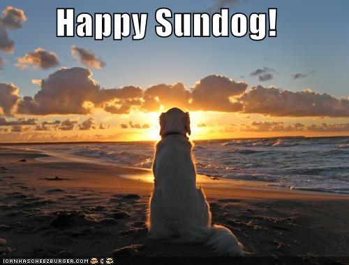 I Has A Hotdog - Dog Pictures - Funny pictures of dogs - Dog Memes ...