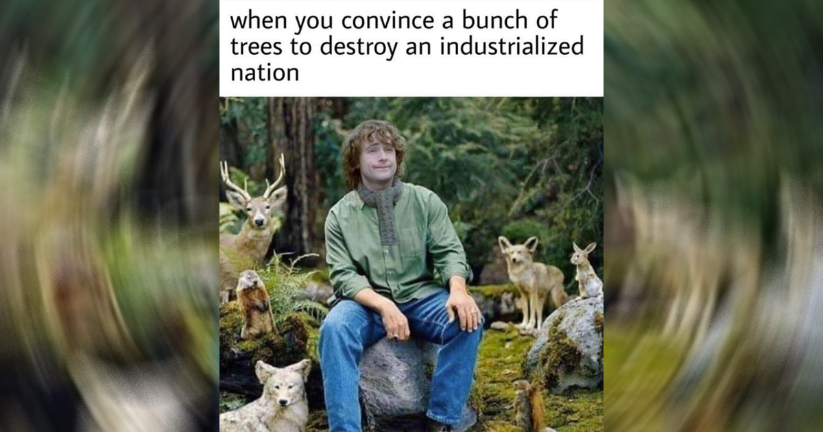 Tolkien Tuesday: The Best Lord of the Rings Memes This Week (November ...