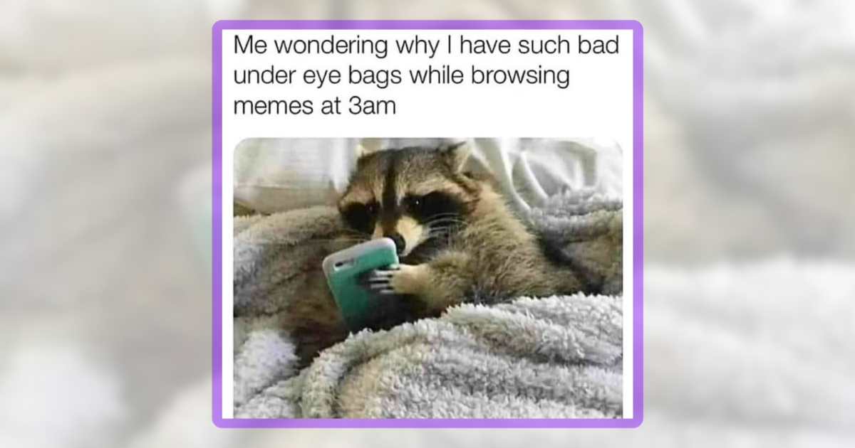 Rambling Mess of 22 Random Memes for Feral Animal Aficionados - Animal ...