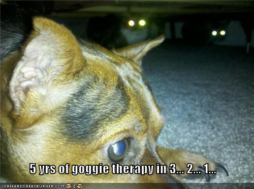 I Has A Hotdog - Dog Pictures - Funny pictures of dogs - Dog Memes ...